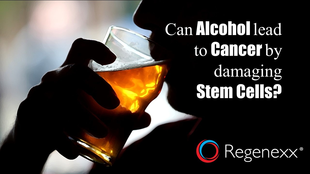 alcohol and stem cells