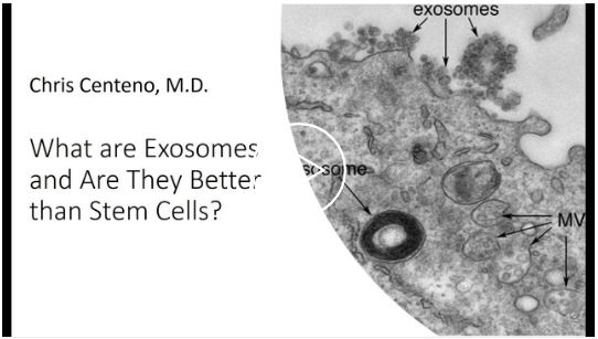 what are exosomes how do they work