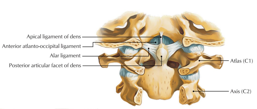 Craniocervical Instability Measurements
