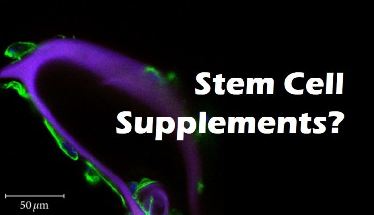 Stem Cell Supplements: A Look At The Differences