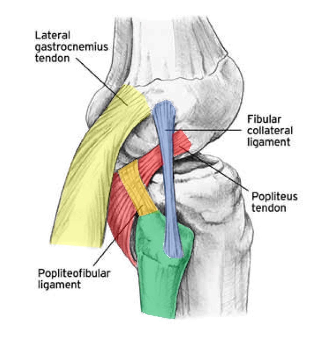 Lateral Lateral