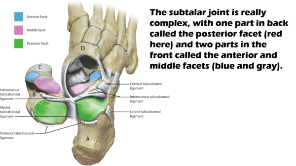 Subtalar Fusion? Do You Really Need This Surgery? - Regenexx