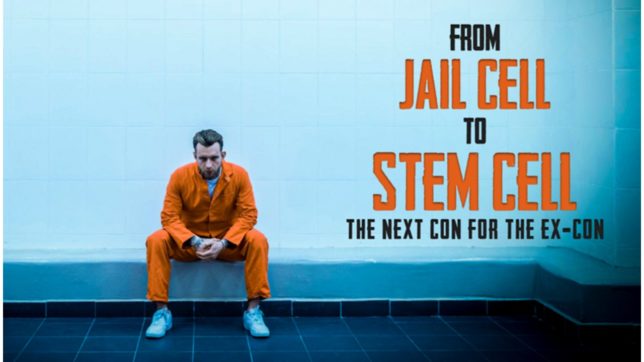 Looking for Some Holiday Entertainment? Learn About the Stem Cell Wild ...