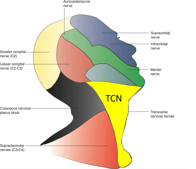 Atypical Trigeminal Neuralgia? - Regenexx