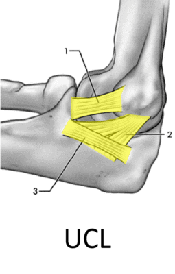 Why Tommy John Doesn't Like the Surgery that Bears His Name - Regenexx
