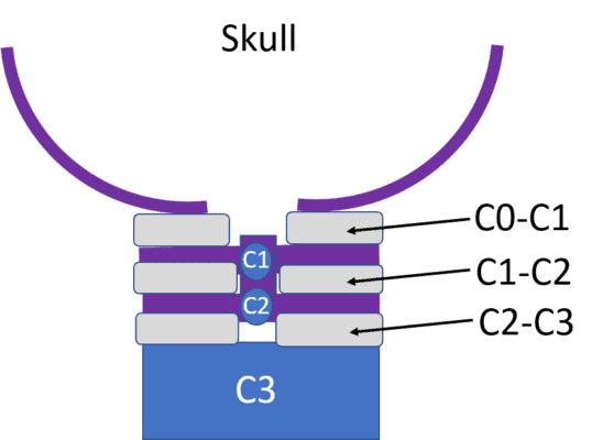 Why the C1-C2 Facet Joint Is Inherently Unstable - Regenexx