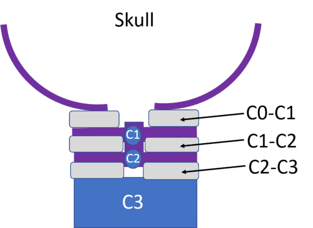 Why the C1-C2 Facet Joint Is Inherently Unstable - Regenexx