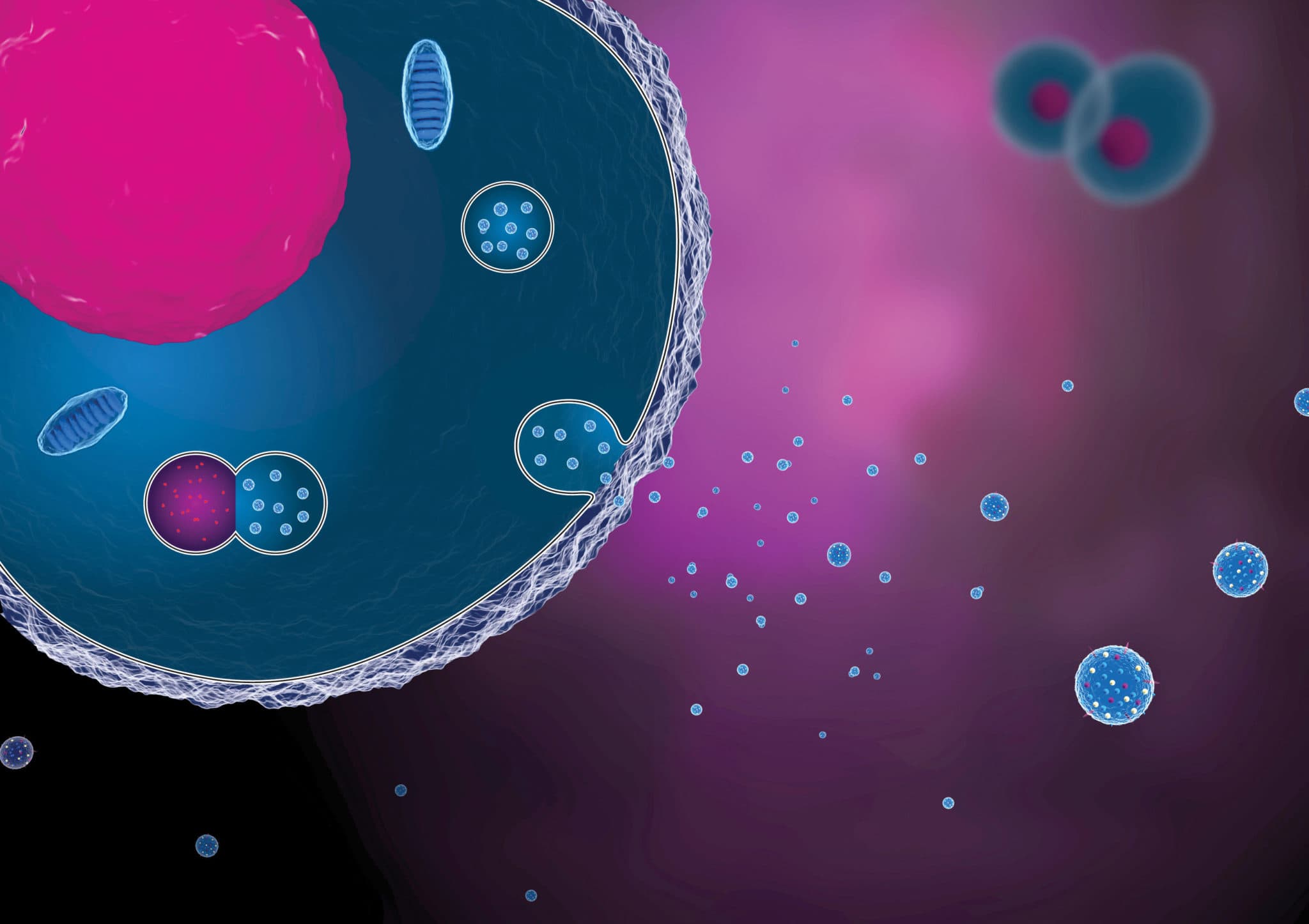 PRP Exosomes and Cartilage Repair - Regenexx