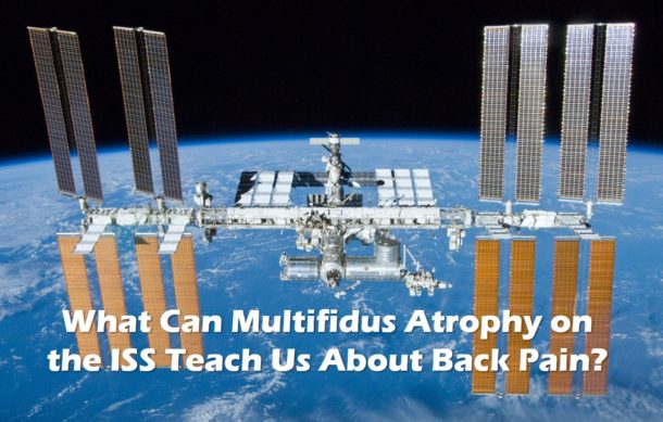 Microgravity and the Most Important Low Back Muscle Called Multifidus ...