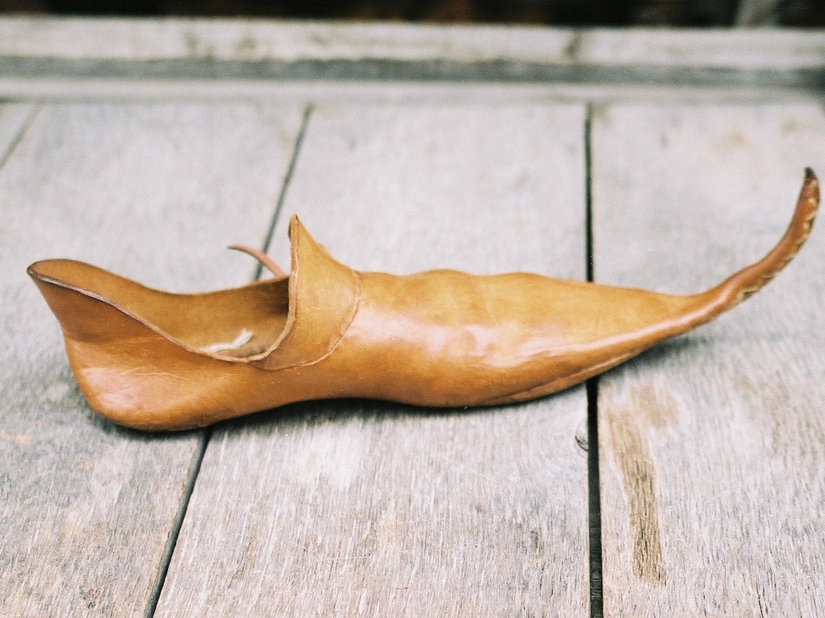 A Medieval Fashion Trend that Caused Bunions Can Teach Us about Hallux ...
