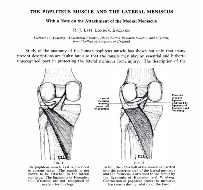 The Popliteus Muscle: A Little Muscle with a HUGE Impact - Regenexx