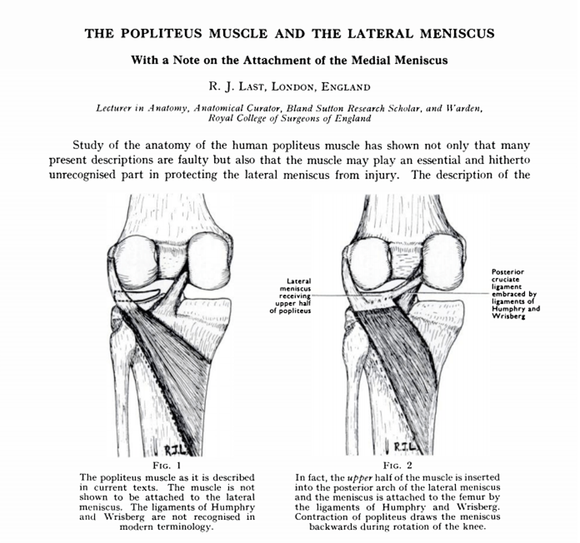 The Popliteus Muscle: A Little Muscle with a HUGE Impact - Regenexx