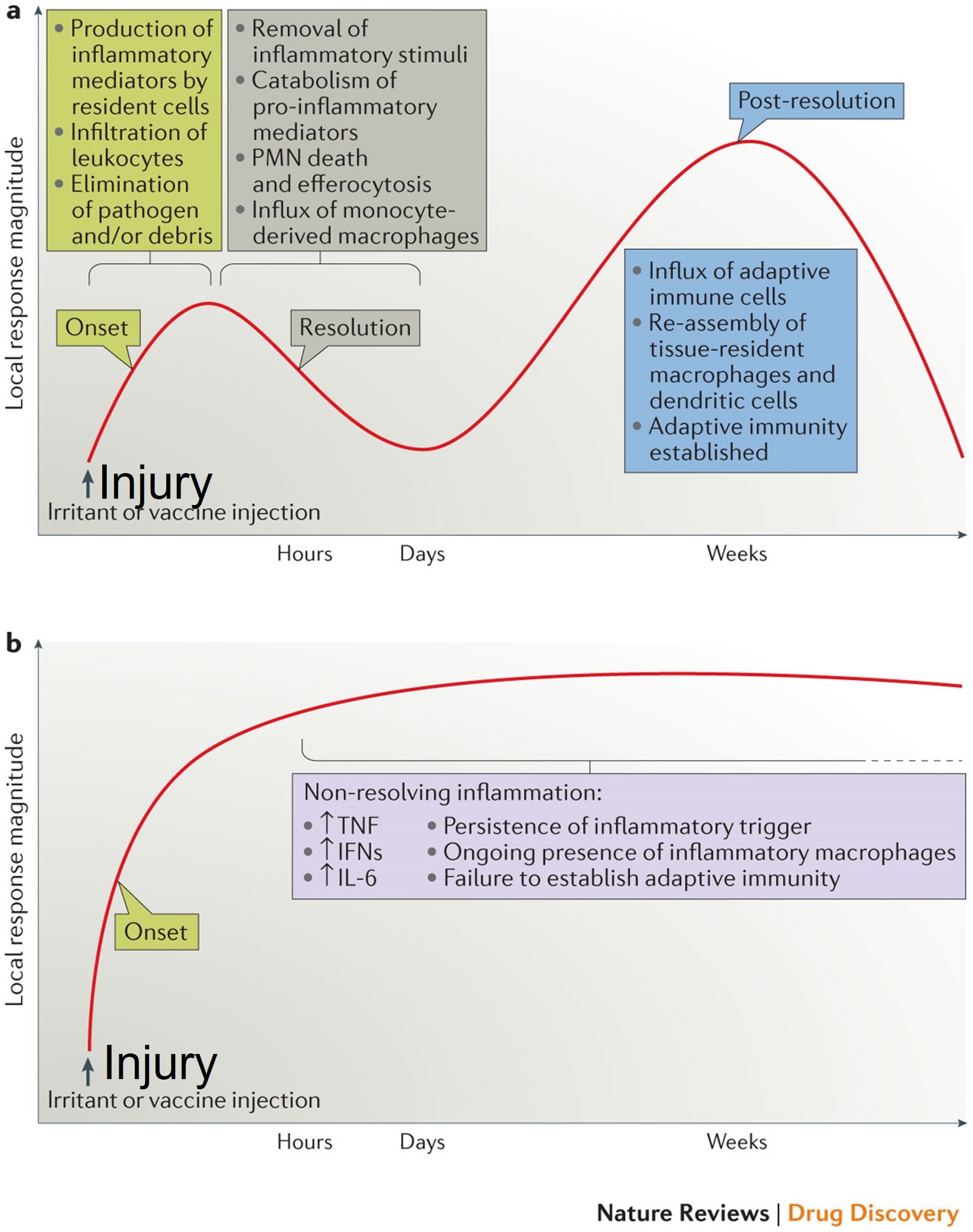 How Quickly Do You Resolve Inflammation? - Regenexx