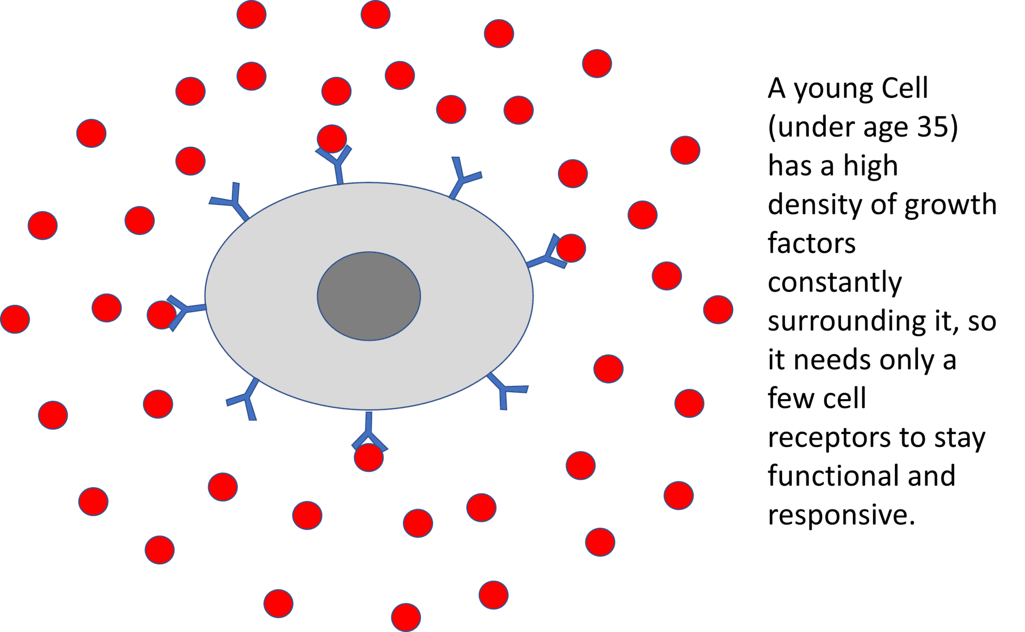 When Is PRP not PRP? It All Depends on Your Age - Regenexx
