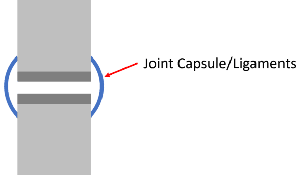Joint Sounds and How Ligaments Respond to Orthobiologics - Regenexx