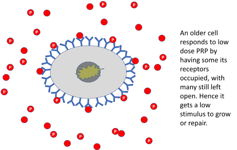 When Is PRP not PRP? It All Depends on Your Age - Regenexx