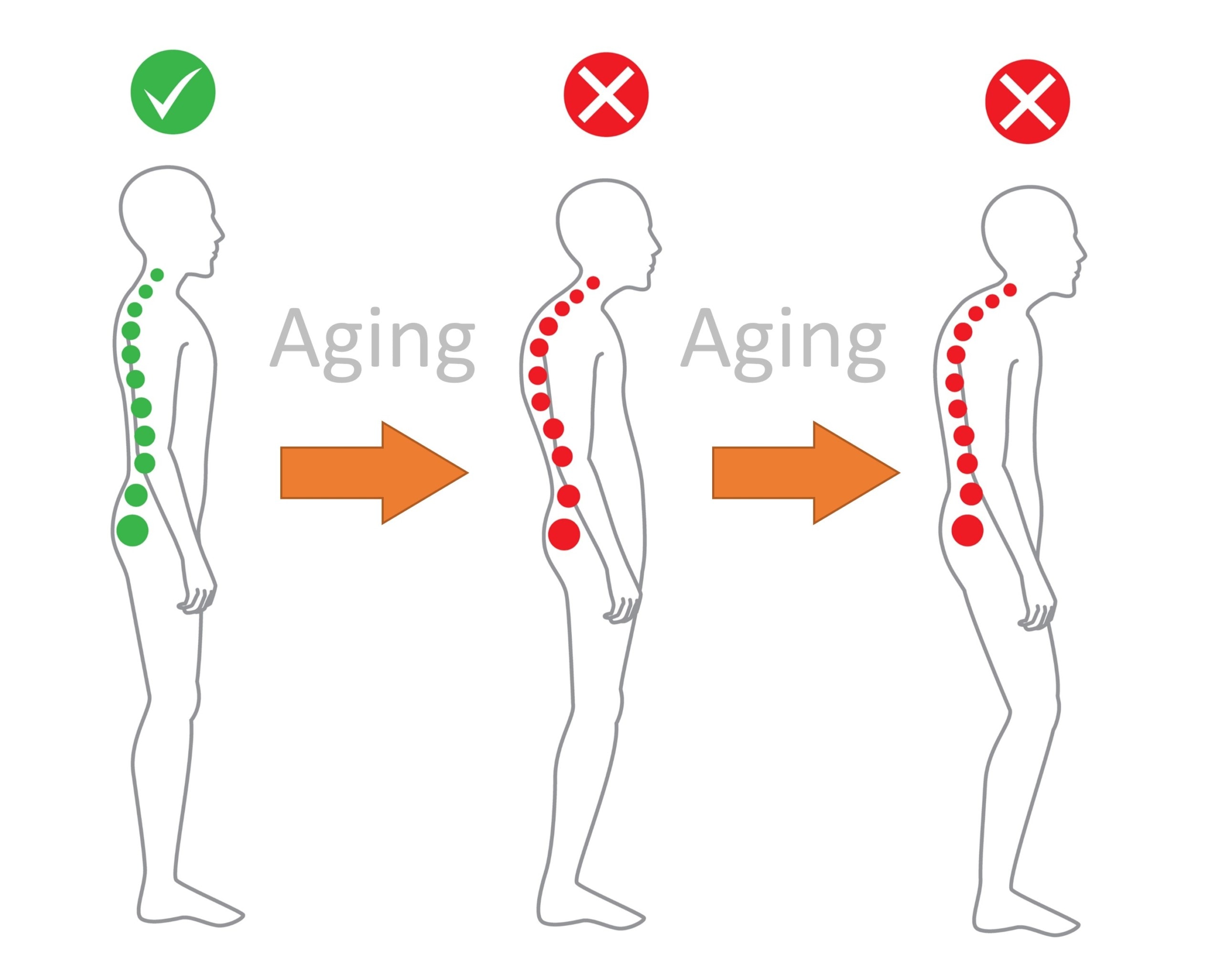 Fighting Gravity as You Age: The Swiss Ball Super Stretch - Regenexx