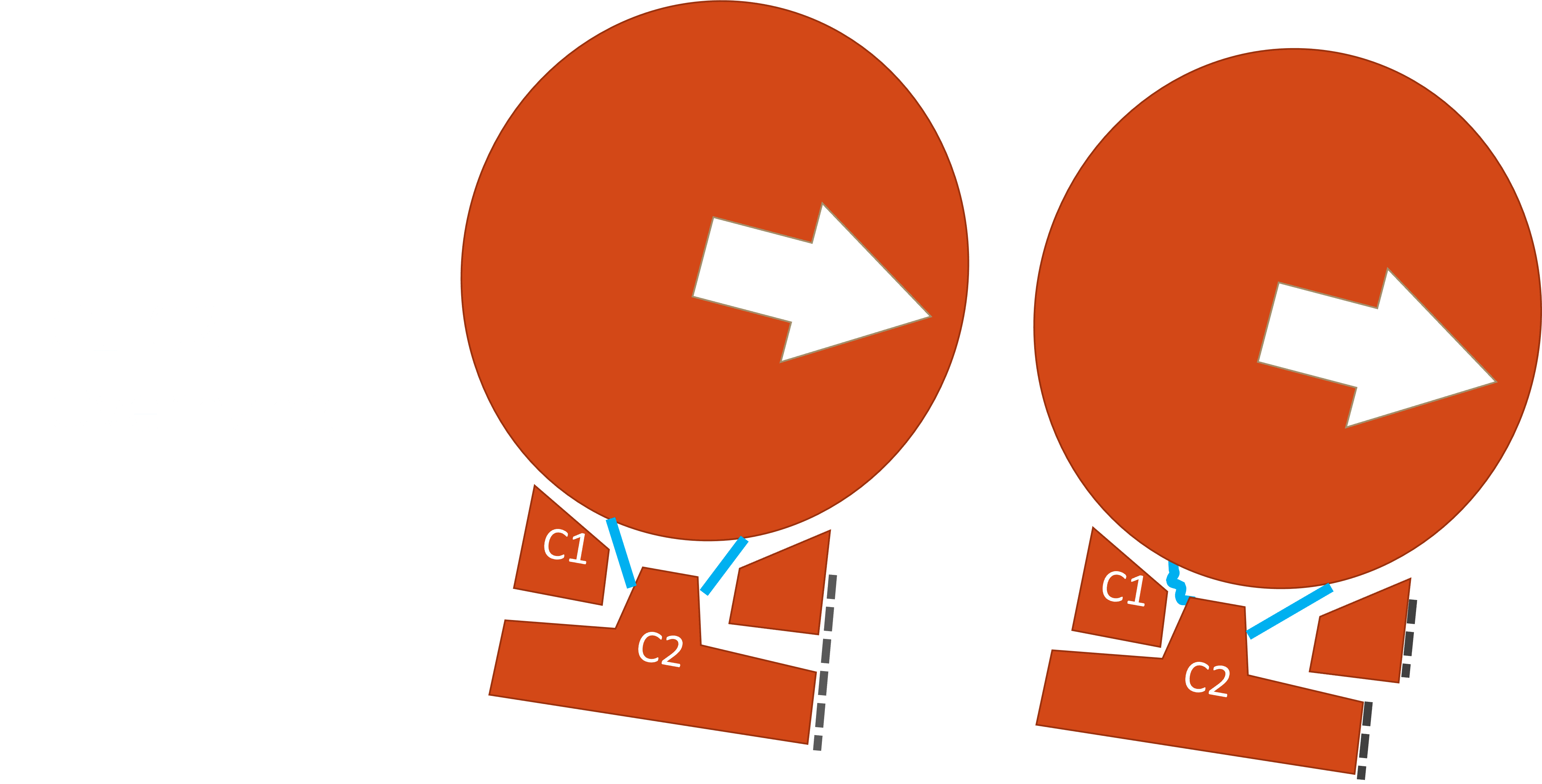 Which Ligament Allows for Excessive C1-C2 Overhang? - Regenexx