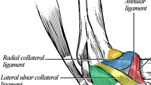Elbow Conditions Treatment and Care Insights - Regenexx