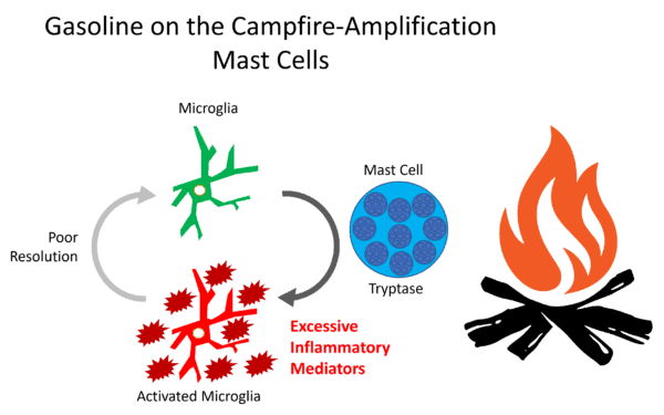 The Vagus Nerve, Inflammation, and the Neck: How are They Connected ...
