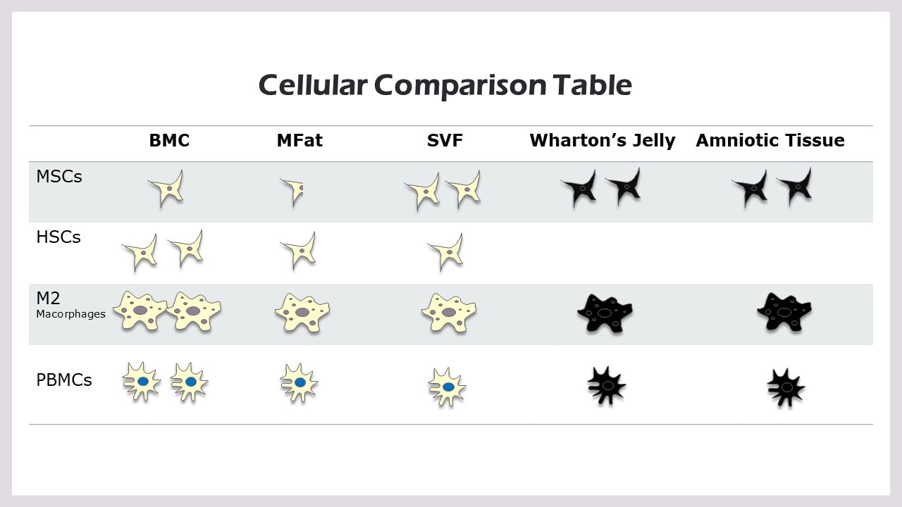 What's the Difference Between All of the Types of Stem Cell Therapy ...