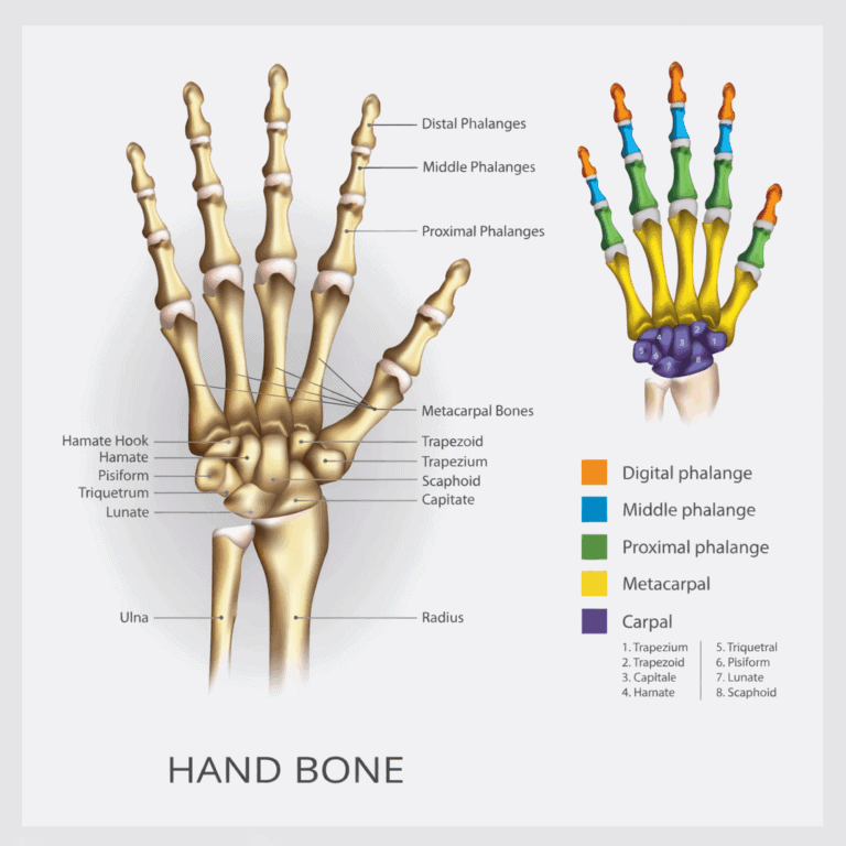 Ulnar Shortening Osteotomy: Is It The Best Option?